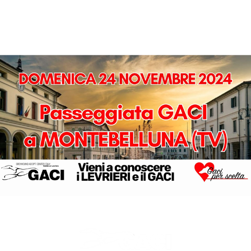 Passeggiata GACI a Montebelluna (TV) - Domenica 24 novembre 2024 ...